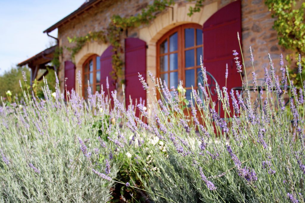 Belvilla: 'Vakantiehuizen zijn complexer dan je denkt' - Emerce