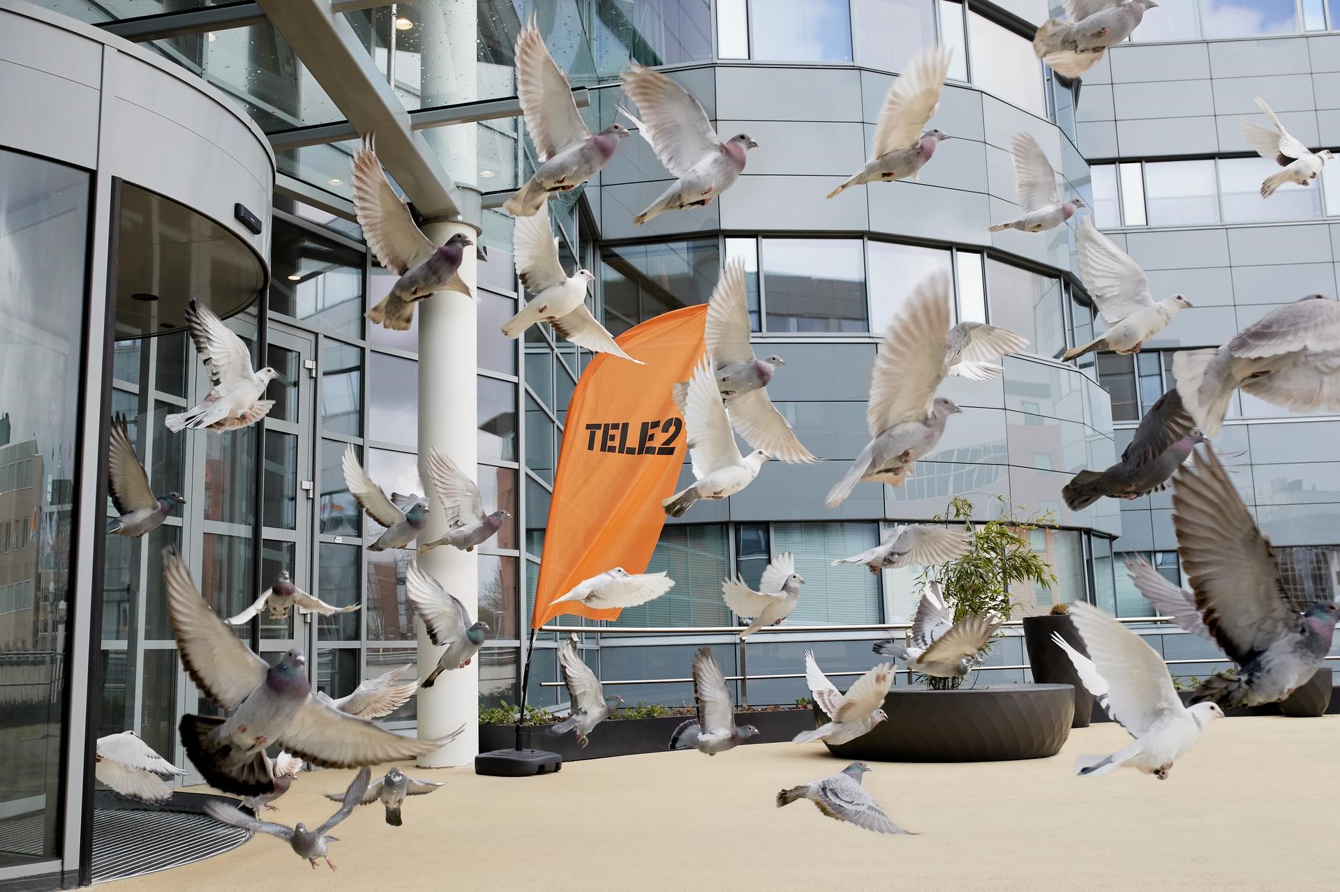 Tele2 zet postduif in om bedrijven te herinneren aan verdwijnen ISDN ...