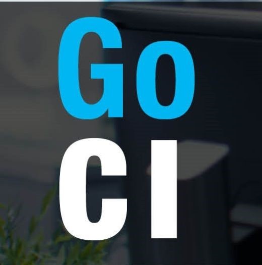 GoCI: innovatieversneller voor de creatieve industrie gelanceerd - Emerce