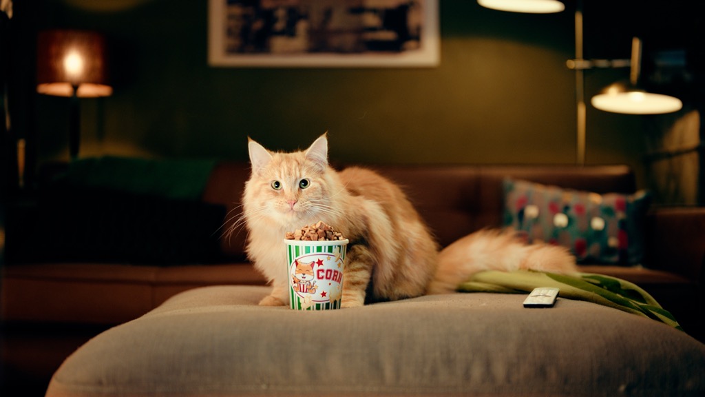 Kpn Lanceert Een Nieuwe Campagne Over Tv And Entertainment Emerce