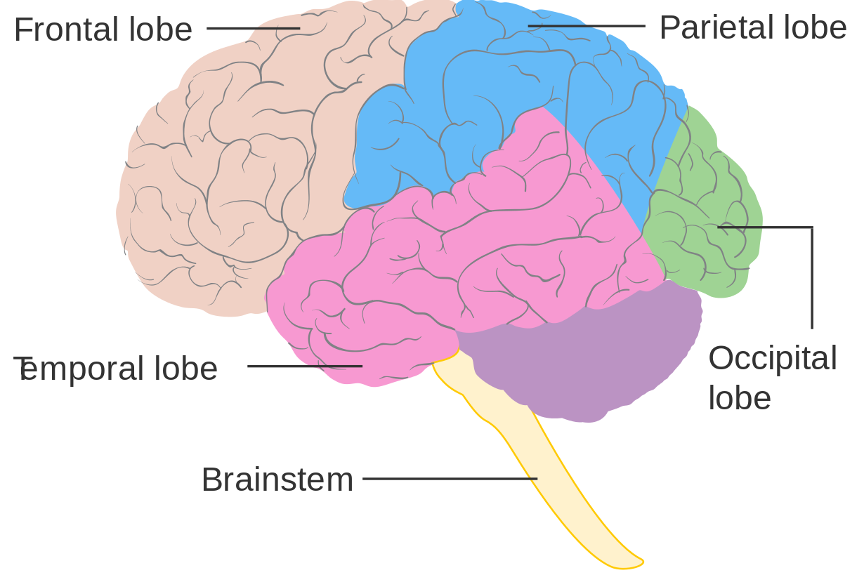 CDP als het brein van je marketing in een 'privacy-first'-tijdperk - Emerce