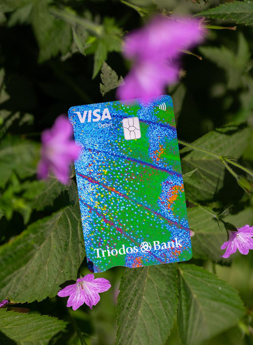 Triodos Bank introduceert Visa Debit bij Nederlandse klanten - Emerce