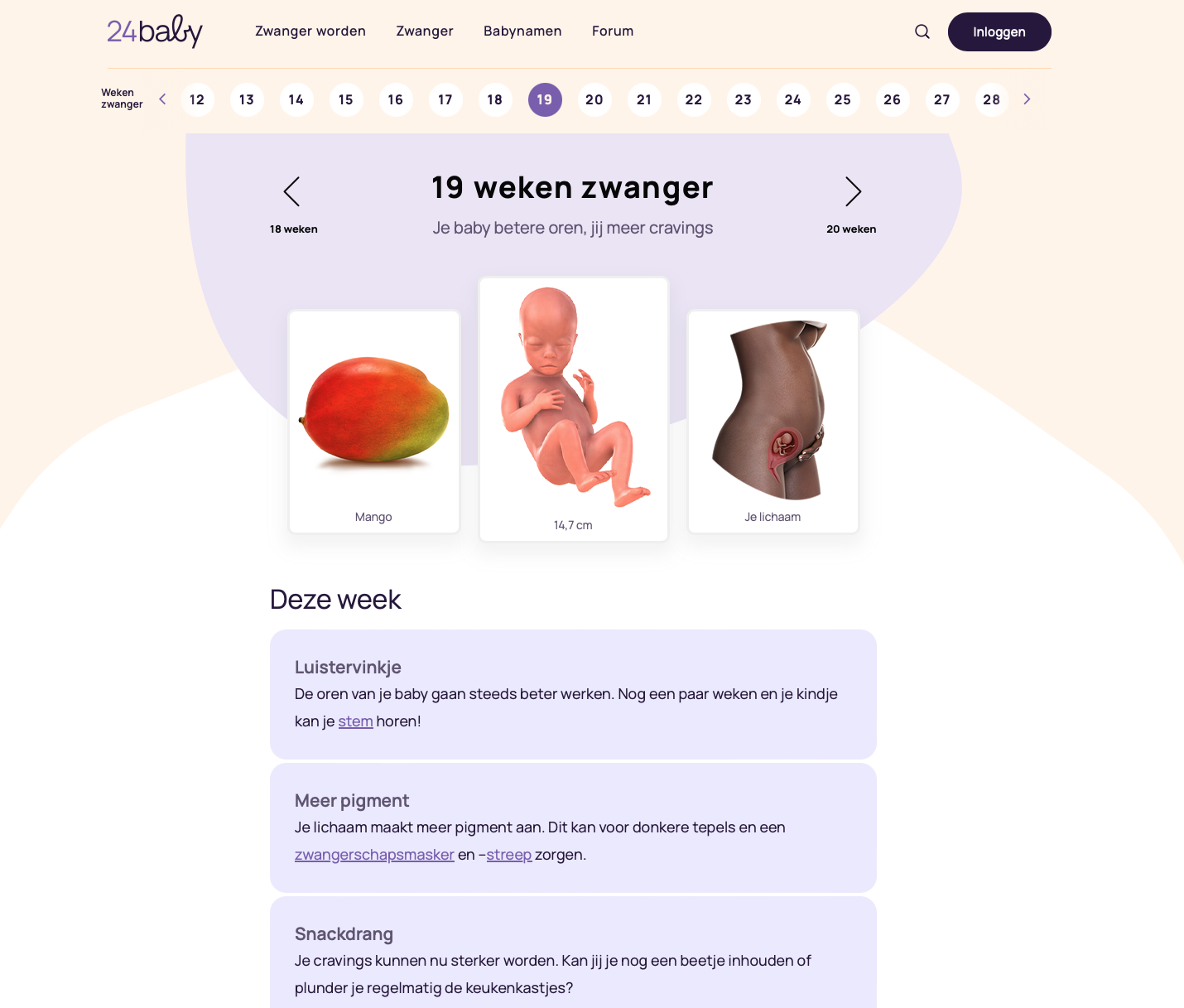 24baby versterkt Europese aanwezigheid met lancering Vlaamse website - Emerce