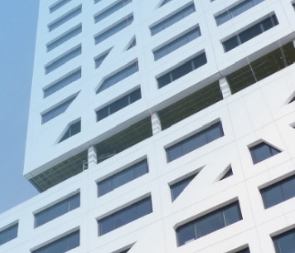 Microsoft partner Rubicon krijgt investering: AI First strategie krijgt ...