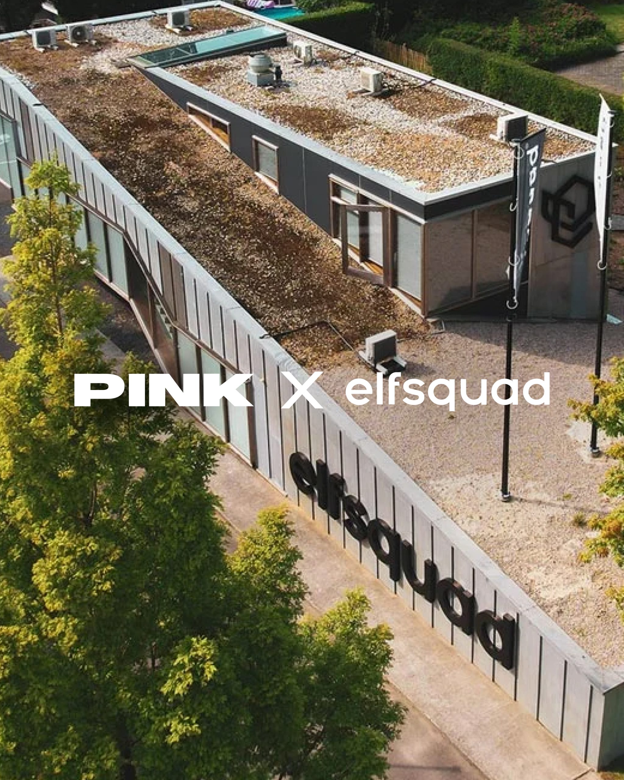 PINK en Elfsquad bundelen krachten voor groei in DACH-regio - Emerce